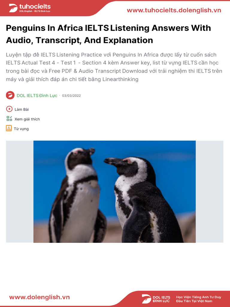 Penguins_In_Africa | PDF | Penguin | Birds