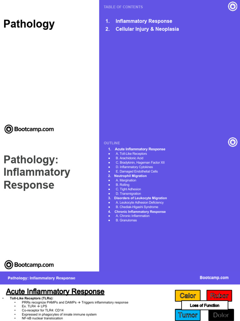 Pathology Atf | PDF | Inflammation | Immunology
