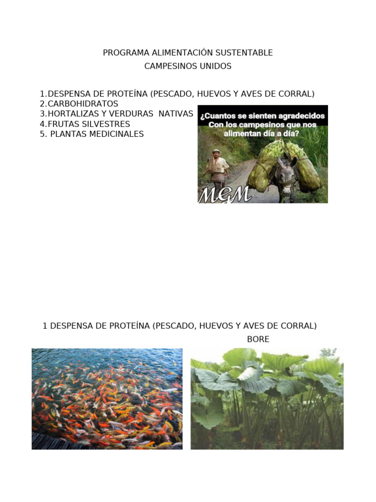 Programa Alimentacion Sustentable (Wecompress.com) | PDF | Vegetales ...