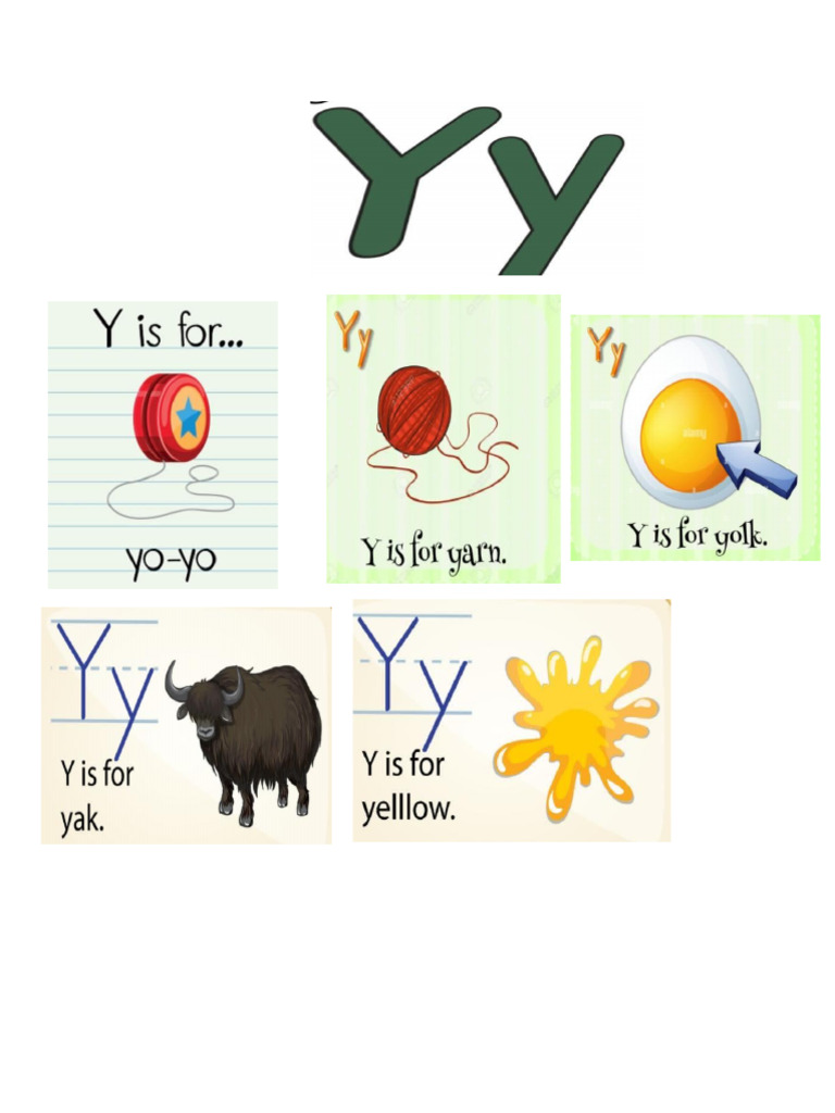 Letter Yy Vocabulary | PDF