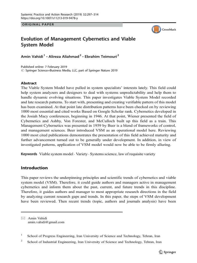 VSM | PDF | Cybernetics | System