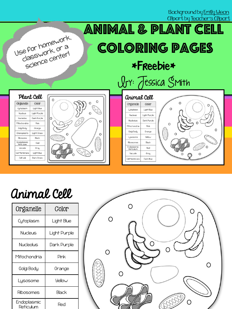 Cell Coloring Guide for Students | PDF