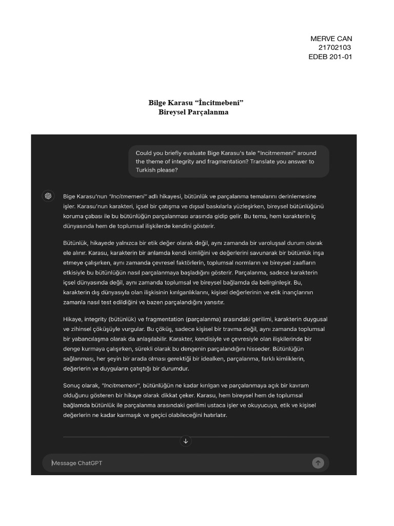 Bilge Karasu, İncitmebeni Üzerine | PDF