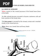 Marsupialization of Bartholin Cyst and Abscess - ACOG 2023 | PDF ...