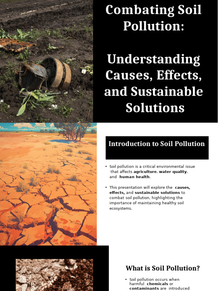 Combatting Soil Pollution: Causes & Solutions | PDF | Pollution | Soil