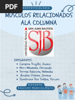 Anatomía de los Músculos Paravertebrales | PDF | Tejido suave ...
