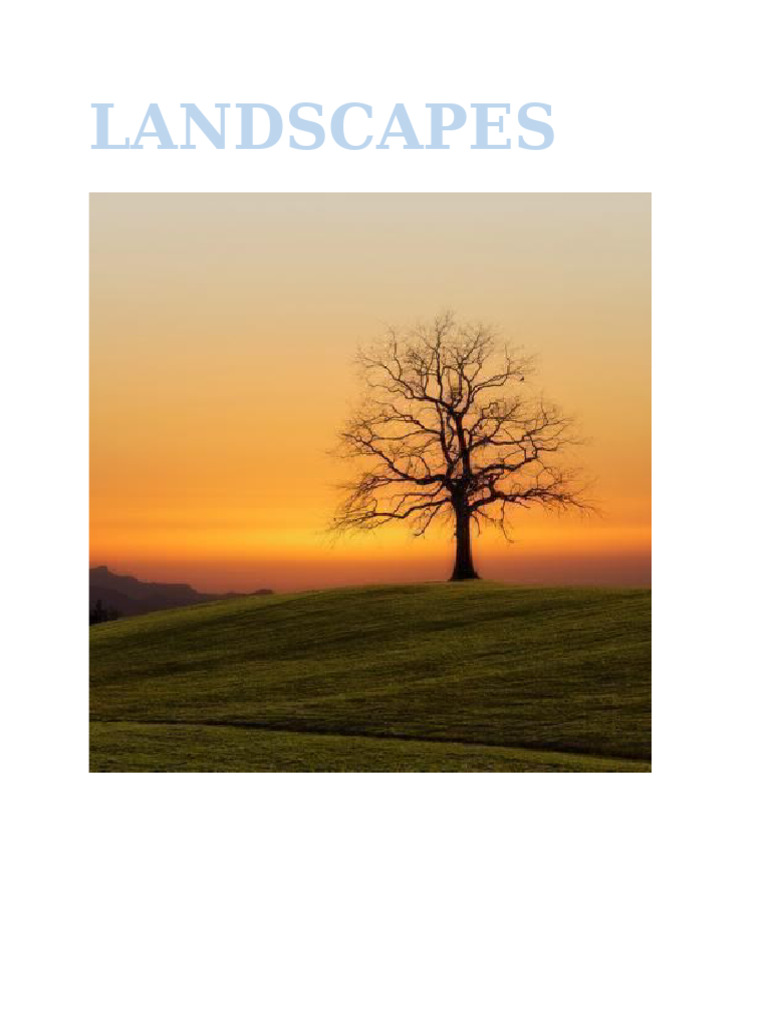 LANDSCAPES | PDF