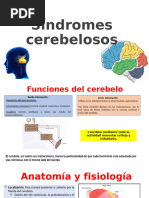 Síndromes Cerebelosos: Vermiano y Hemisferios | PDF | Cerebelo ...