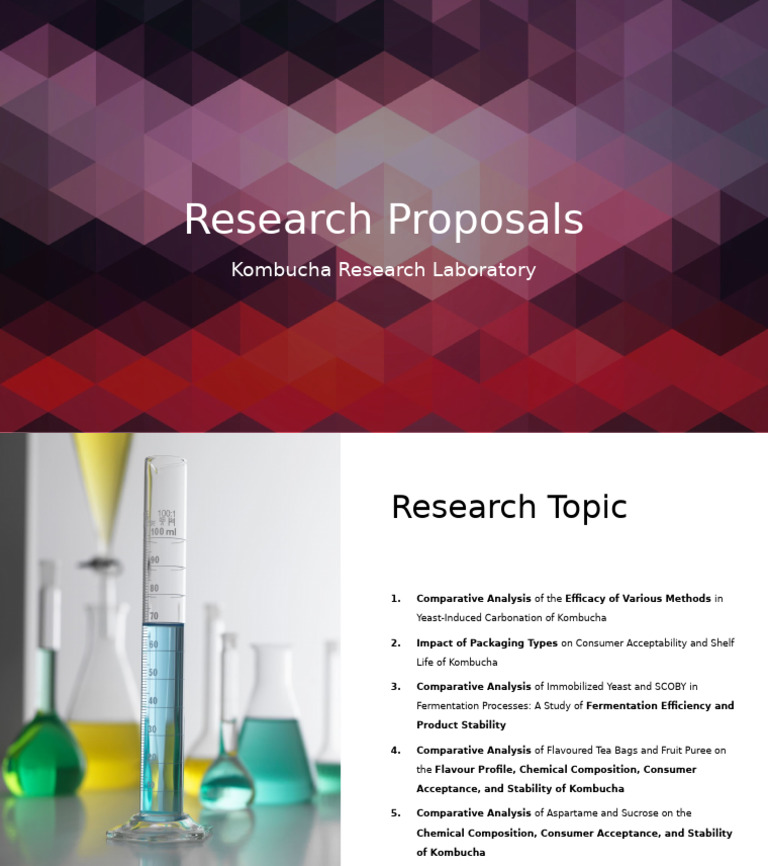 Research Topics | PDF