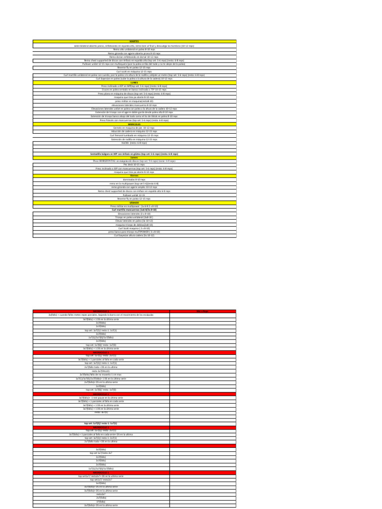 Rutina Del Gym - XLSX - Hoja1 | PDF | Entrenamiento con pesas