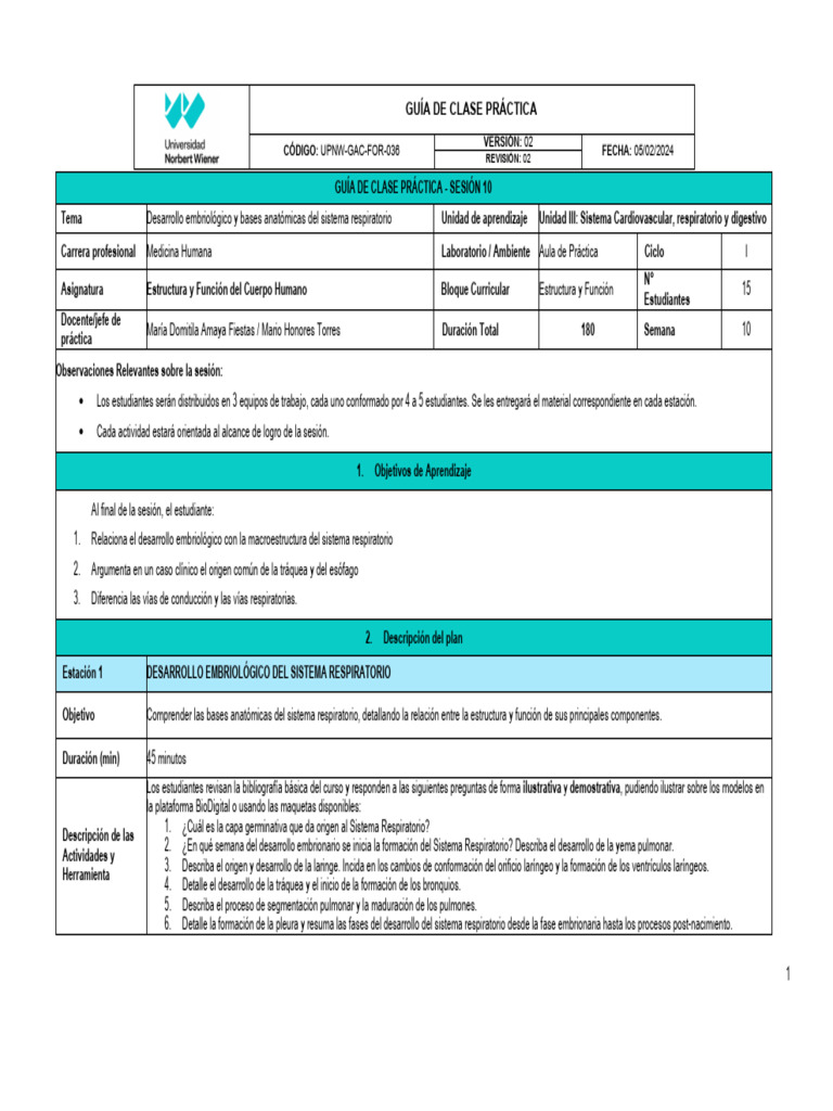 Guía de Práctica. Semana 10. Semestre 2024-II. ESTRUCTURA Y FUNCIÓN DEL ...