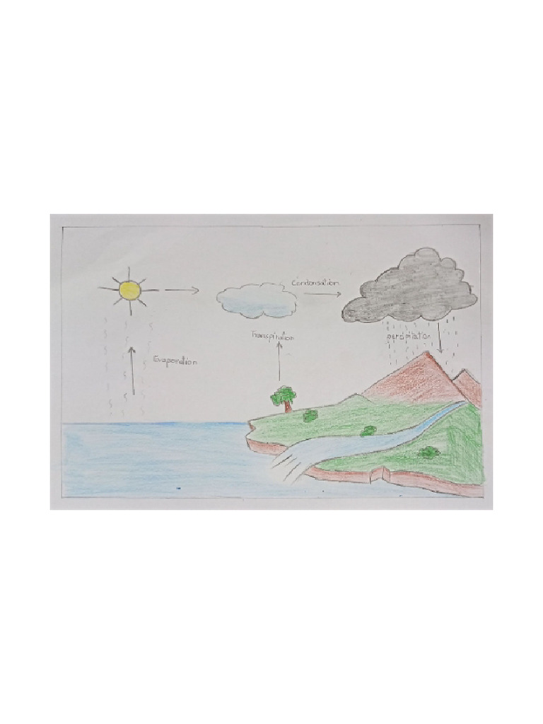 Social Studies Project Work | PDF