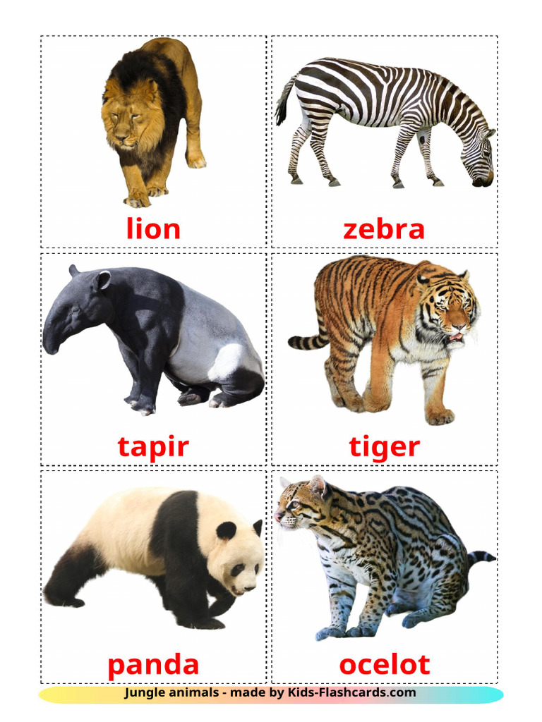 Jungle Animals Flashcards for Kids | PDF
