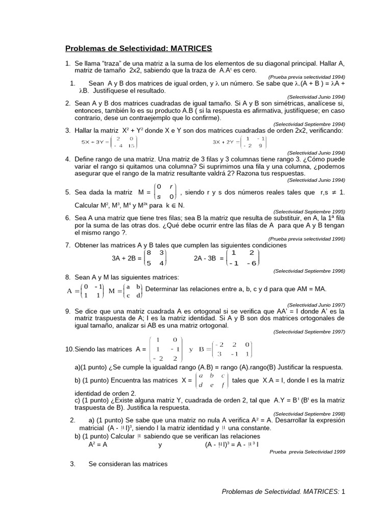 MATRICES SELECTIVIDAD | PDF | Matriz (Matemáticas) | Matemáticas