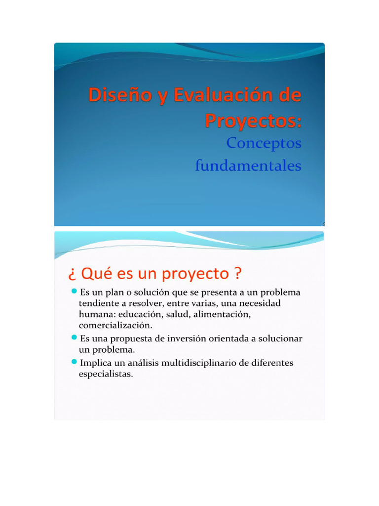 Diseño y Evaluacion de Proyectos | PDF
