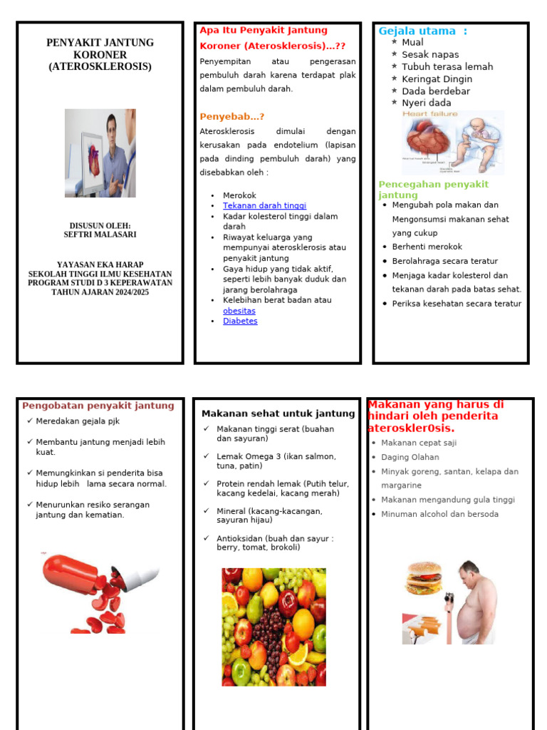 Leaflet Jantung SEFTRI | PDF