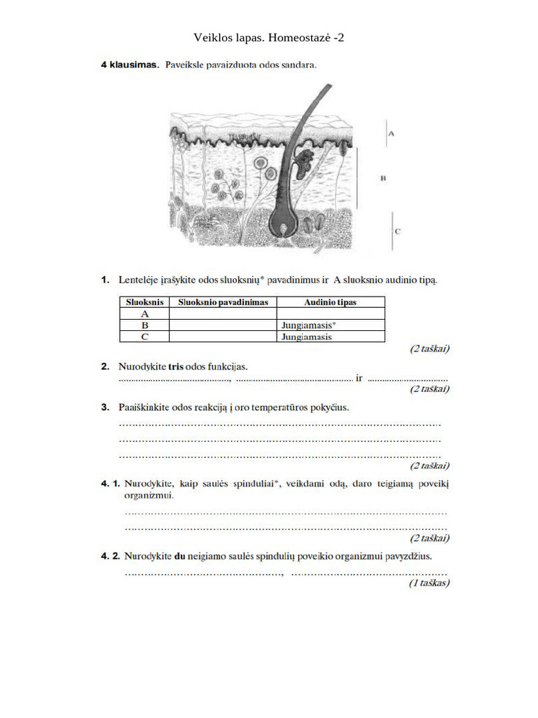 Veiklos Lapas.homeostazė -2 | PDF