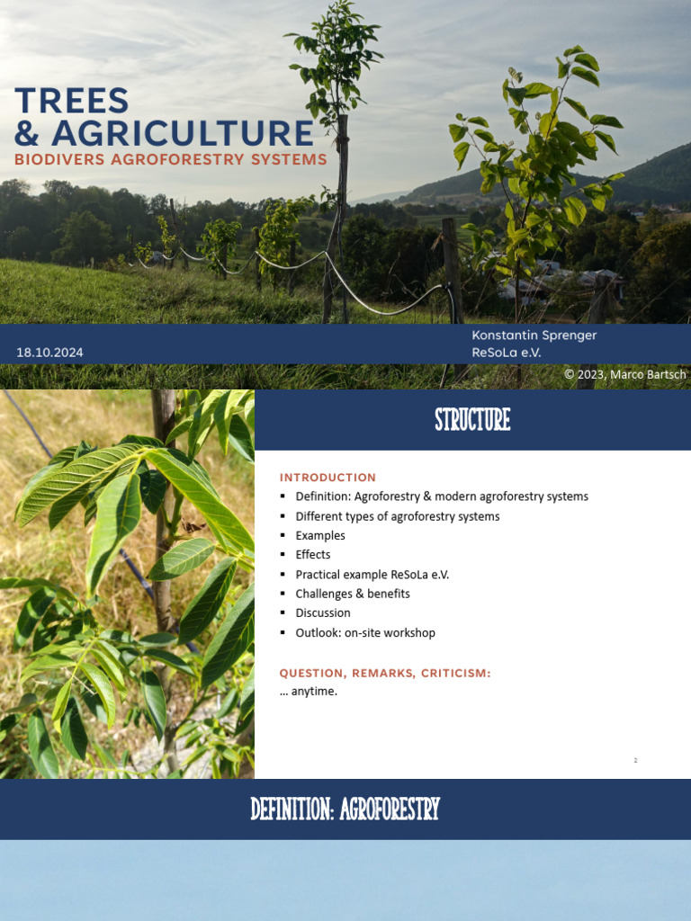 1 Trees and agriculuture - biodivers agroforestry systems | PDF | Crop ...