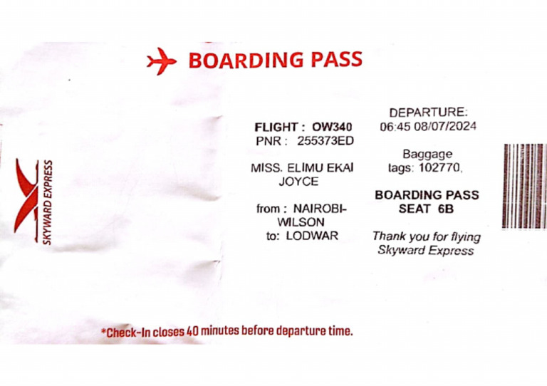 boarding pass 2 | PDF