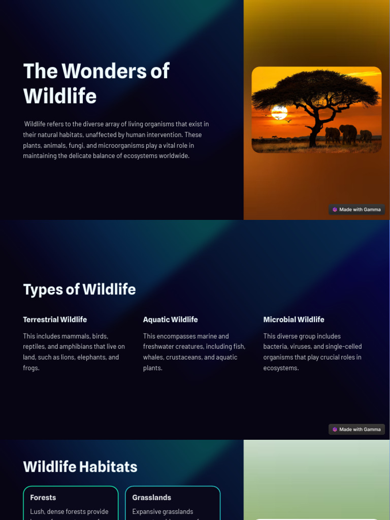 The Wonders of Wildlife | PDF | Conservation Biology | Wildlife