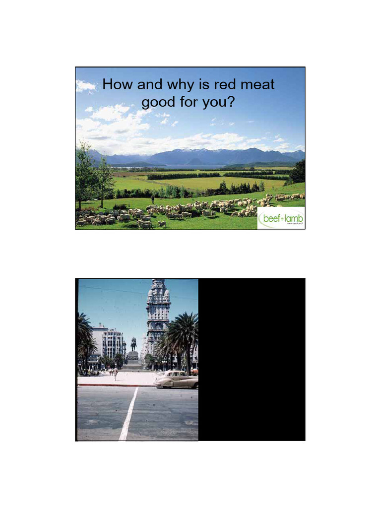 Why Is Red Meat Good For You - Fiona Carruthers | PDF | Meat | Beef