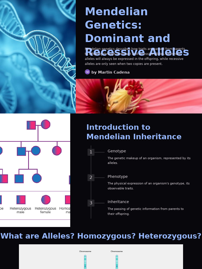 Mendelian Genetics Dominant and Recessive Alleles | PDF | Dominance (Genetics) | Genotype