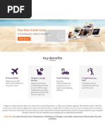 CBD Cards Details | PDF | Credit Card | Visa Inc.