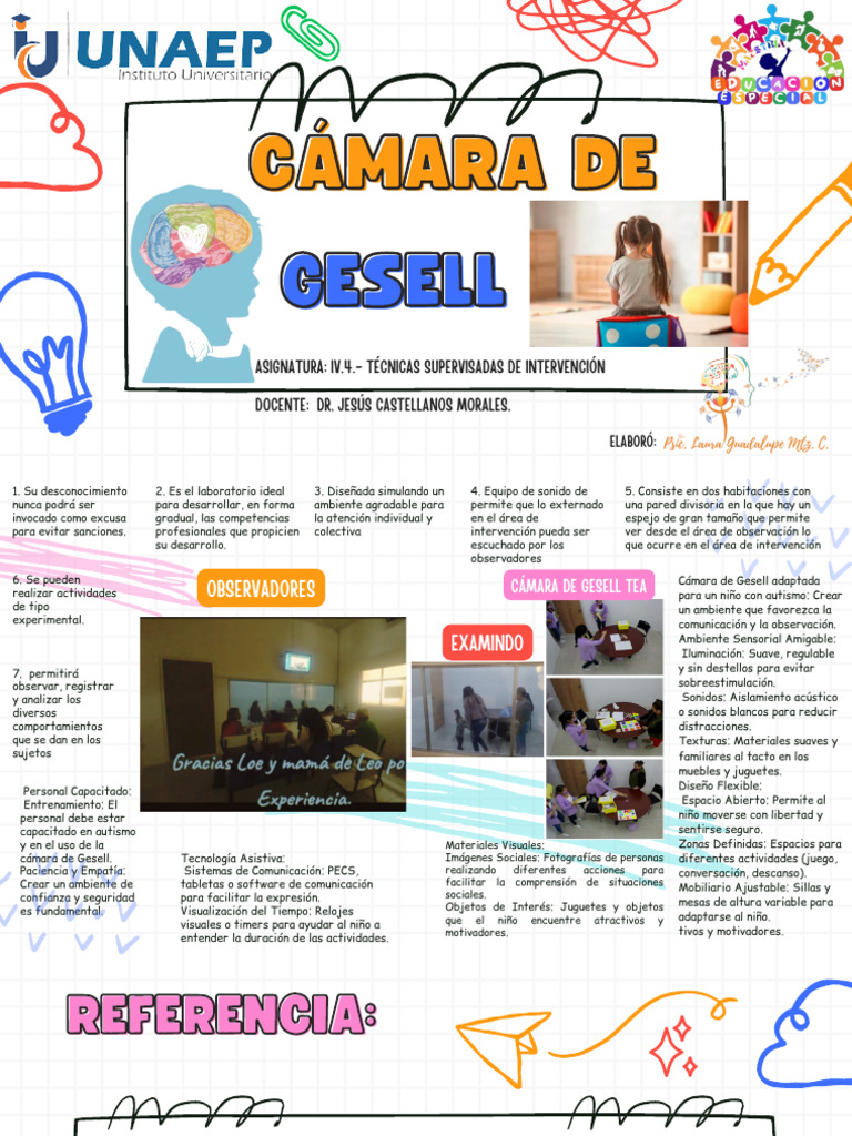 Cámara de Gesell para Autismo: Guía Práctica | PDF | Espectro autista ...