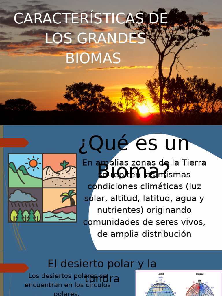 Biomas 2 | PDF | Clima | Sabana