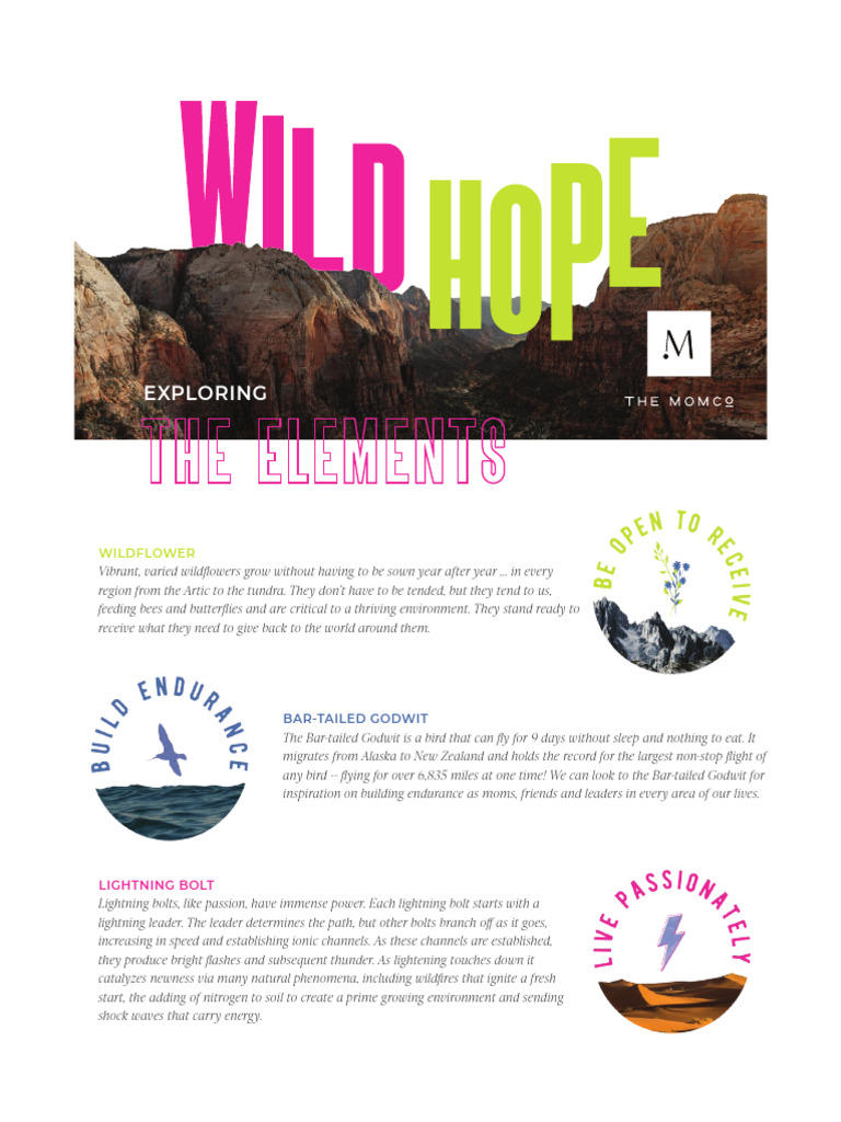 Exploring-Wild-Hope-Elements | PDF
