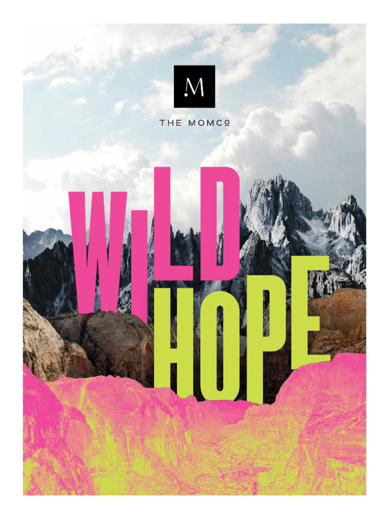MomCo-Wild-Hope | PDF | Gospel Of Matthew | Paul The Apostle
