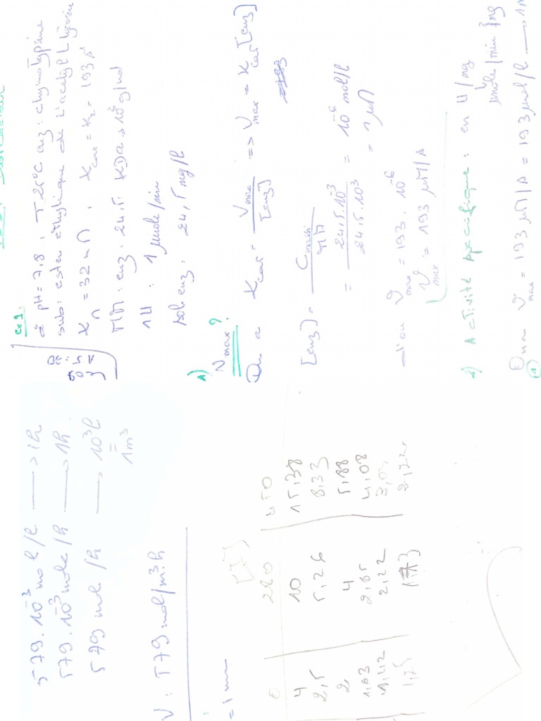 Corr Serie3 Enzy | PDF