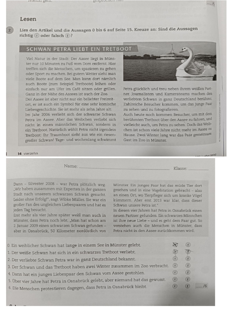 Lesen B1 Jugendliche | PDF