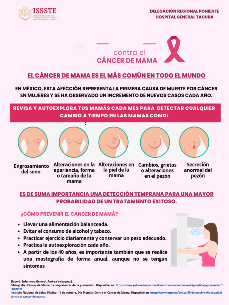 Prevención del Cáncer de Mama en Mujeres | PDF