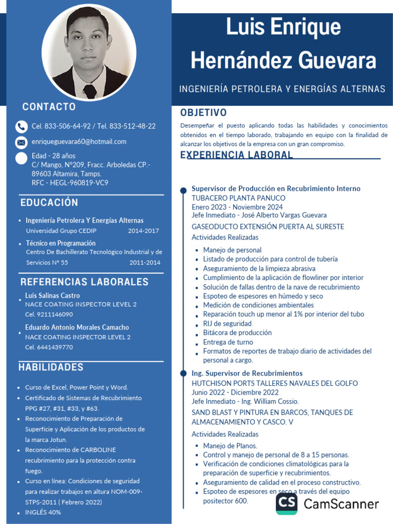 CV LUIS ENRIQUE HERNANDEZ GUEVARA Nov2024 PDF | PDF | Ingeniería