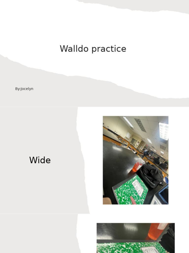 Walldo Photography Techniques | PDF