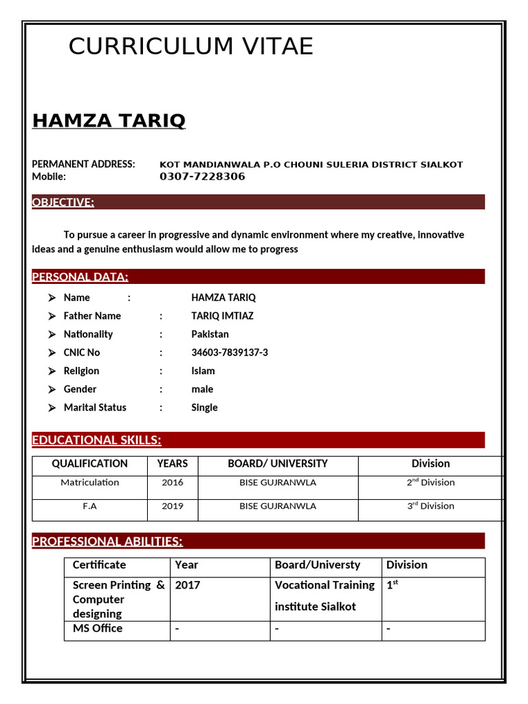 Hamza Tariq Cv | PDF