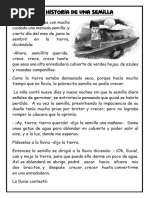 El Pajarito y La Semilla | PDF