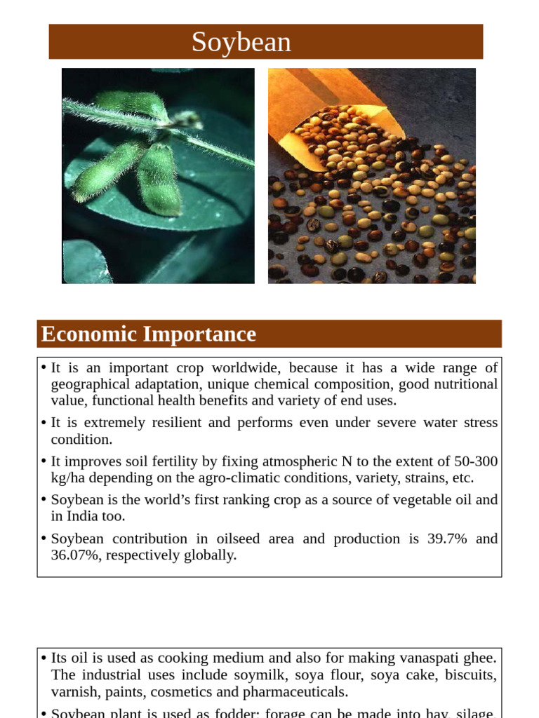 Soybean | PDF | Soybean | Seed