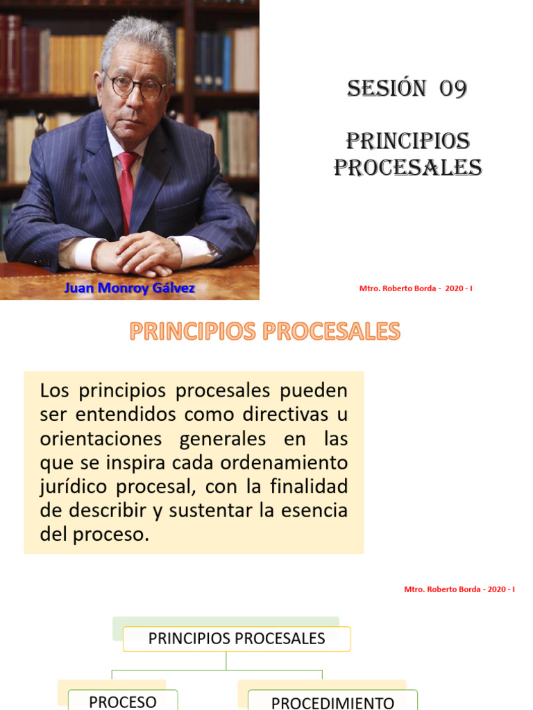 Principios Procesales | PDF | Jurisdicción | Judicaturas