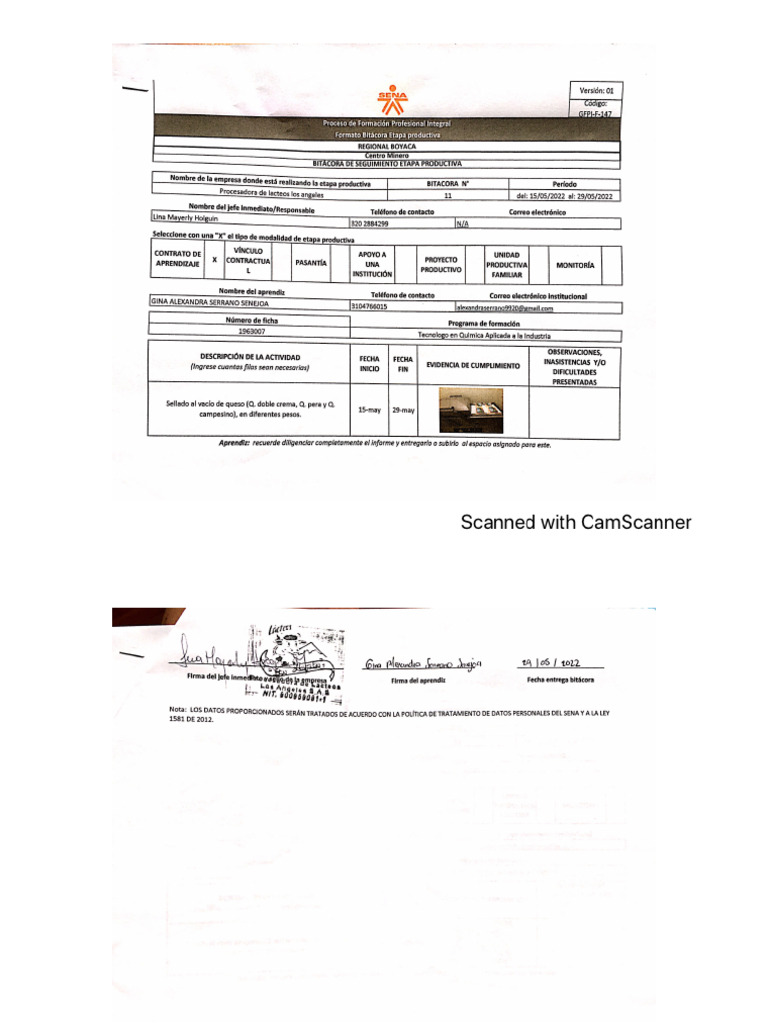 Bitácora _11_Gina_Serrano | PDF