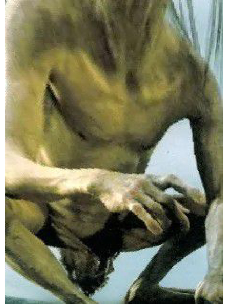 PDFReader 20241209 2008 | PDF