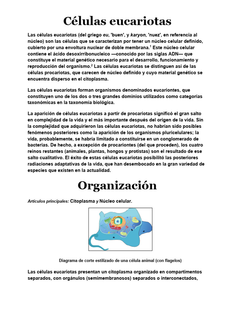 Zelula Eukariotoak | PDF | Eucariotas | Biología Celular)