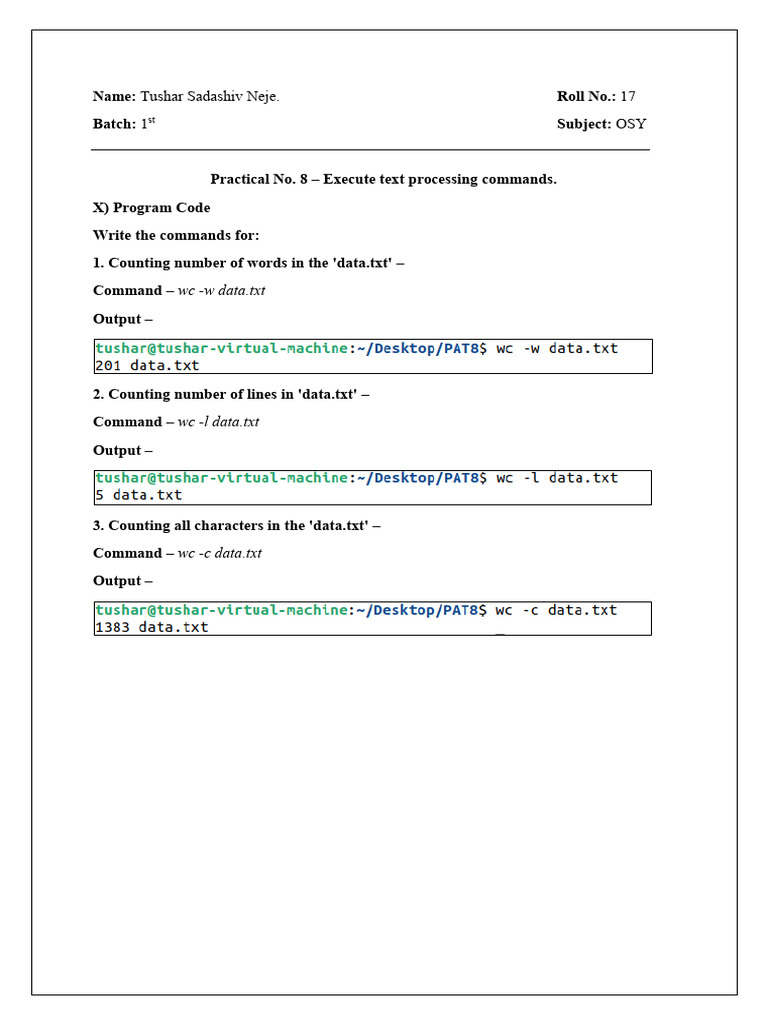 Text Processing Commands in OSY | PDF