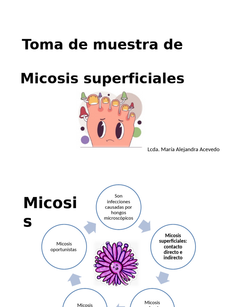Micosis | PDF | Especialidades Medicas | Medicina CLINICA
