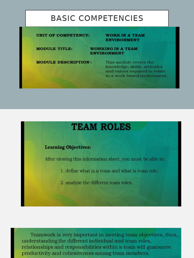 Work Inateamenvirinment Basic Competency 21st Century | PDF