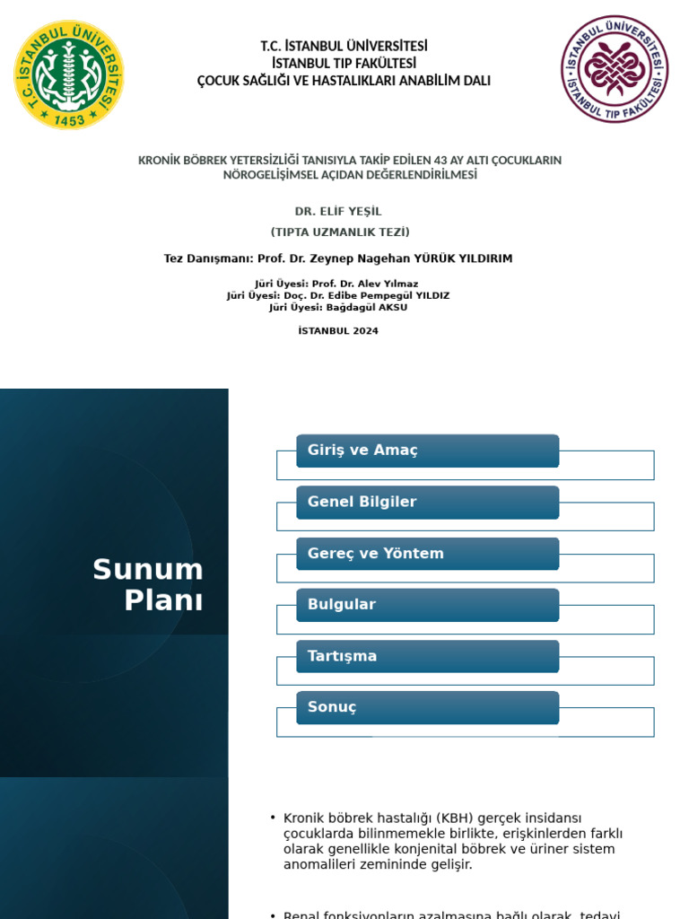 Elif Tez Sunum Güncel | PDF