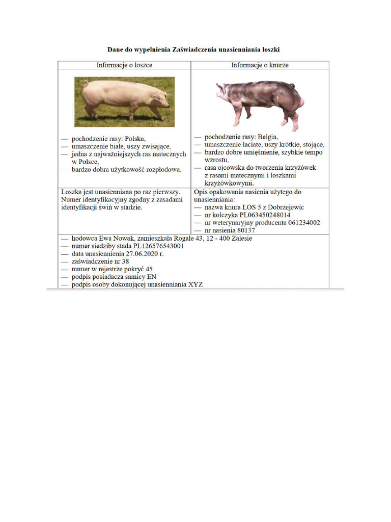 Klasa2 Twa Do Pracy Własnej | PDF