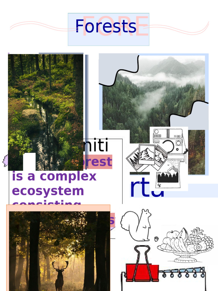 FORESTS | PDF