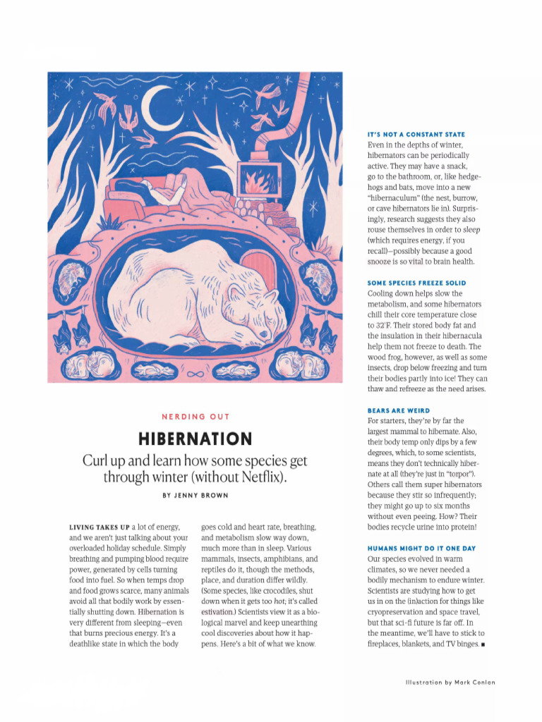 Hibernation | PDF